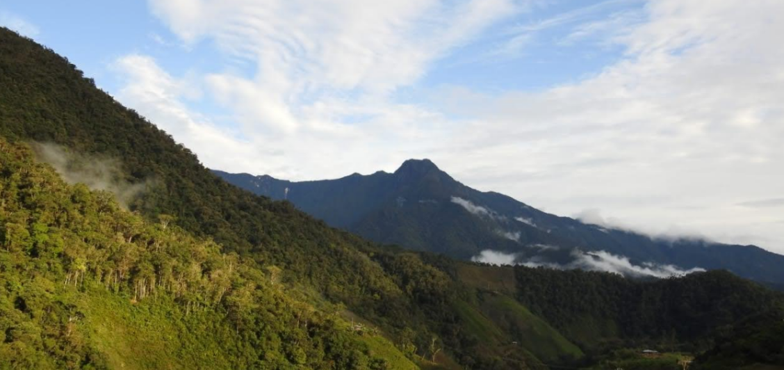 CEPF updates the information on the Ecosystem Profile of the Tropical ...