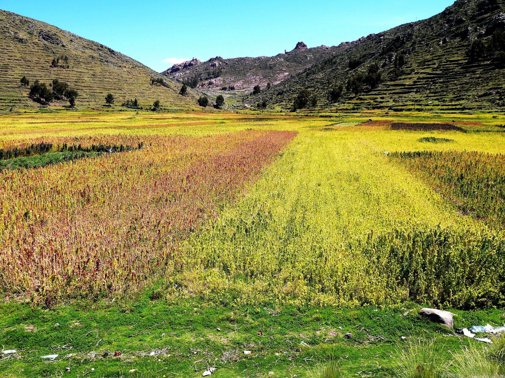 GEF Agrobiodiversity GIAHS II Project: Learn more about courses for ...