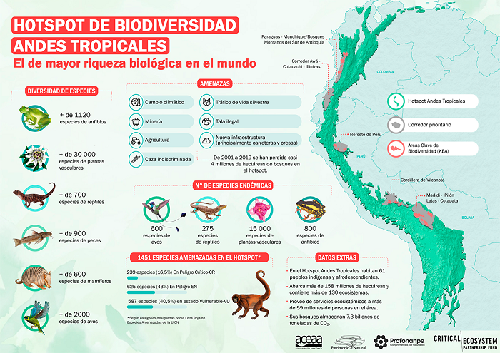 Findings from the Tropical Andes Hotspot ecosystem profile, a regional ...