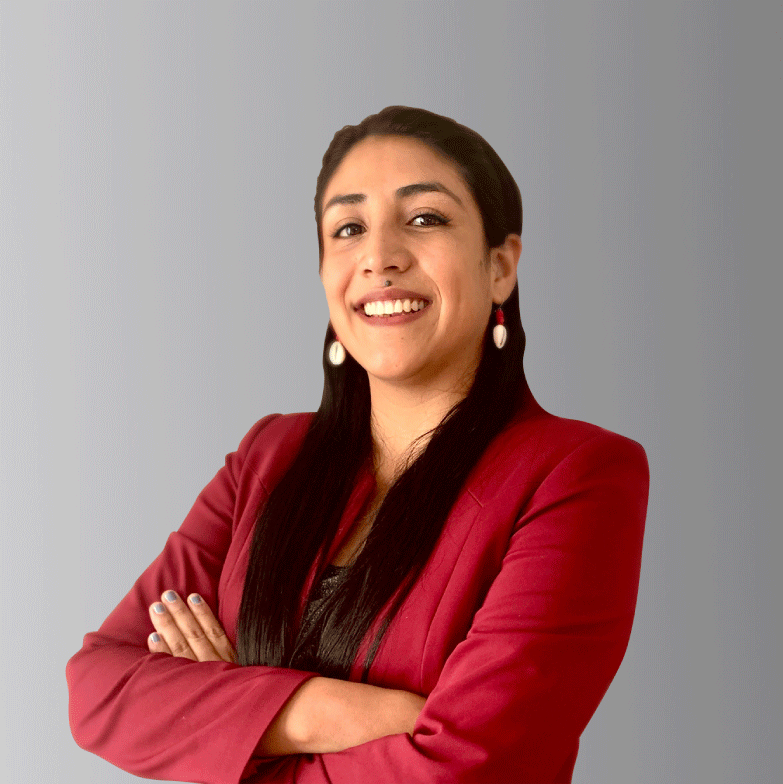 Nuestro equipo - Profonanpe